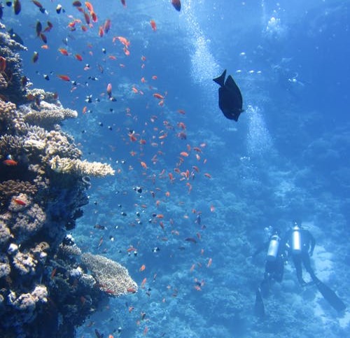 1000 Leagues Under The Sea – Michael Howe – Voices